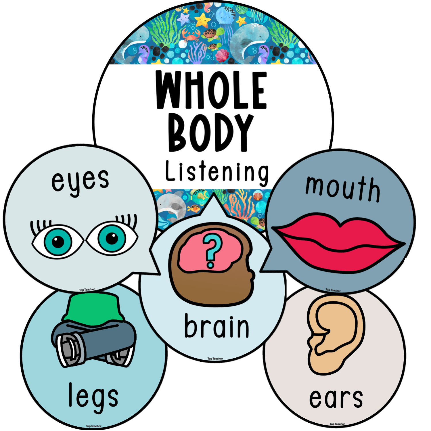 Whole Body Listening Display Ocean Wonderland - Top Teacher