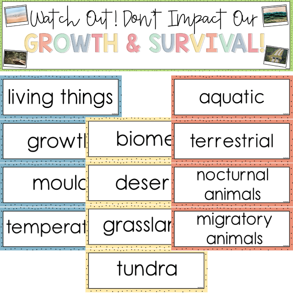 Biological Sciences Year 6 Display PACKAGE - Top Teacher