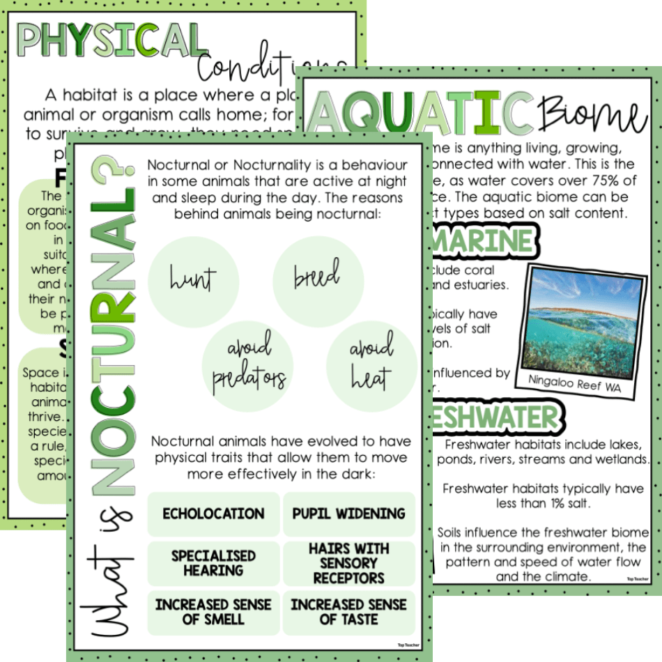 Biological Sciences Year 6 Posters - Top Teacher