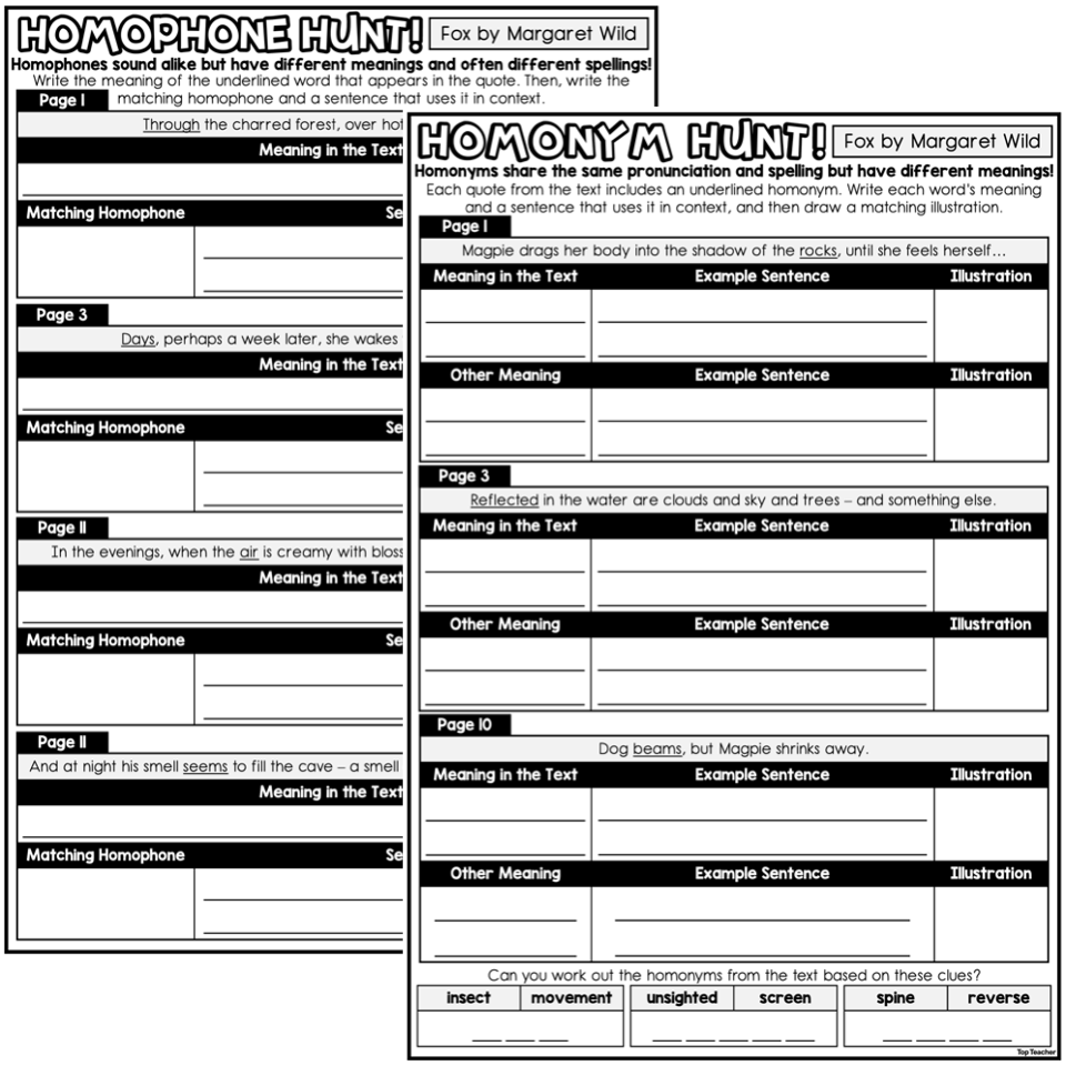 Fox: Homonym & Homophone Hunt Worksheet - Top Teacher