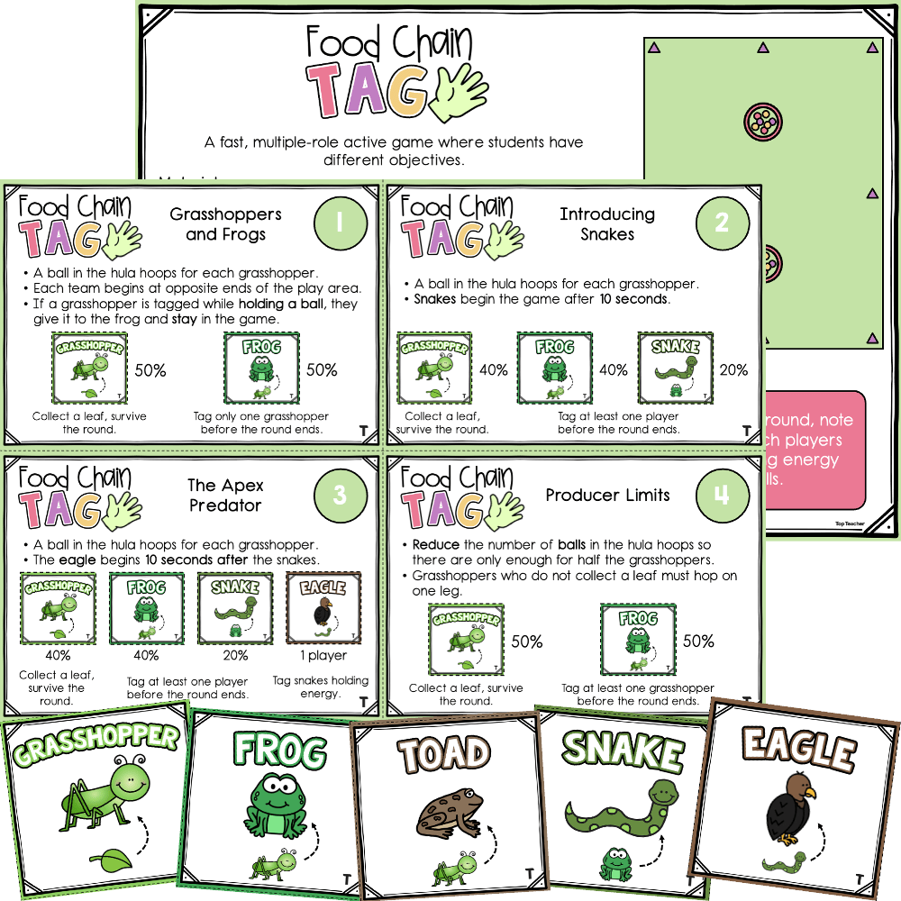 Food Chain Tag Active Game - Top Teacher