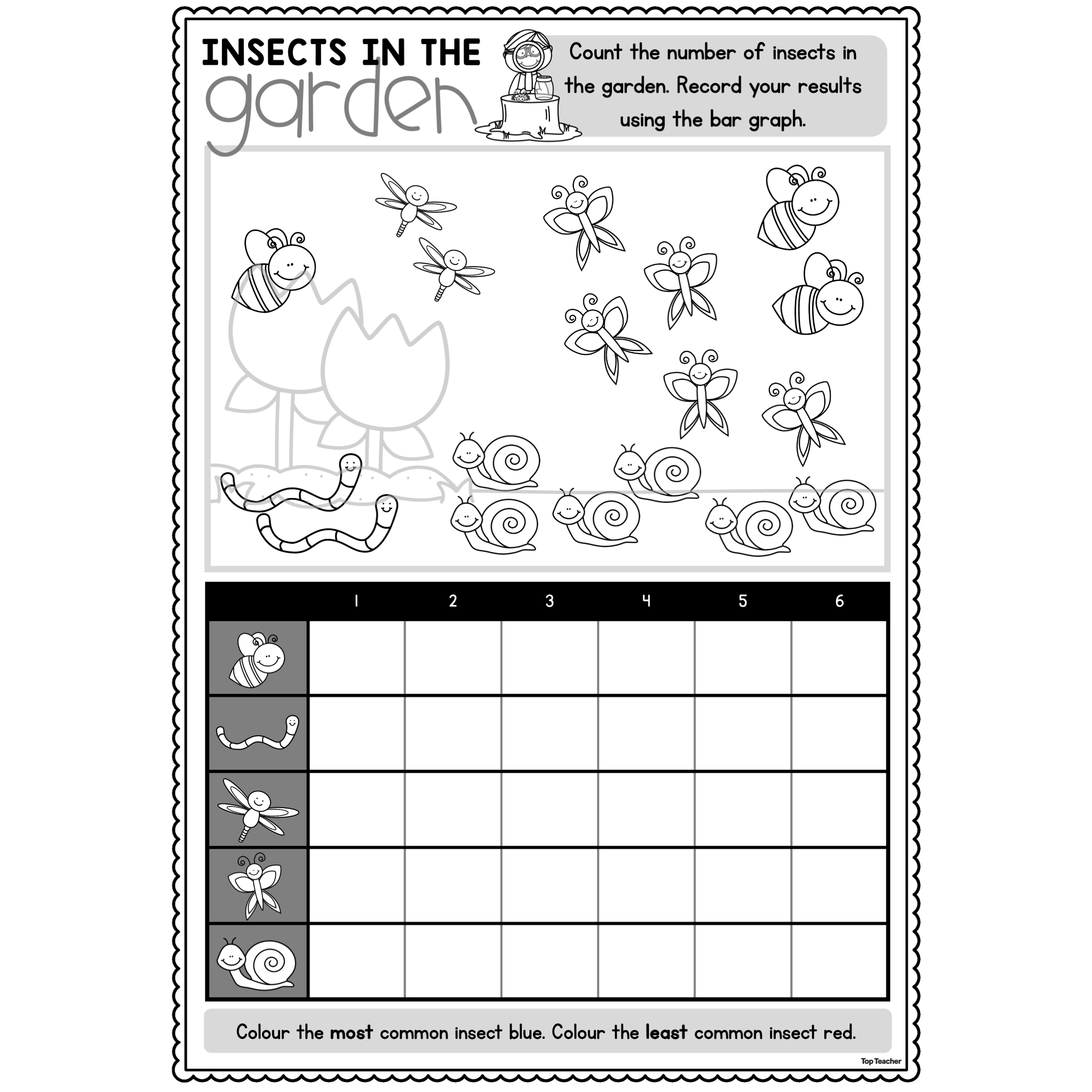 Insects in the Garden: Data Collection & Graphing Activity - Top Teacher