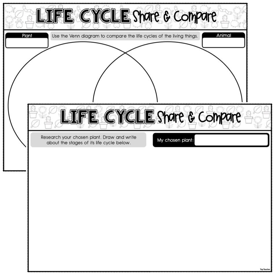 Life Cycle Worksheet 20 [FREE] TECHNOLOGY GRADE 7 TERM 1 WORKSHEETS