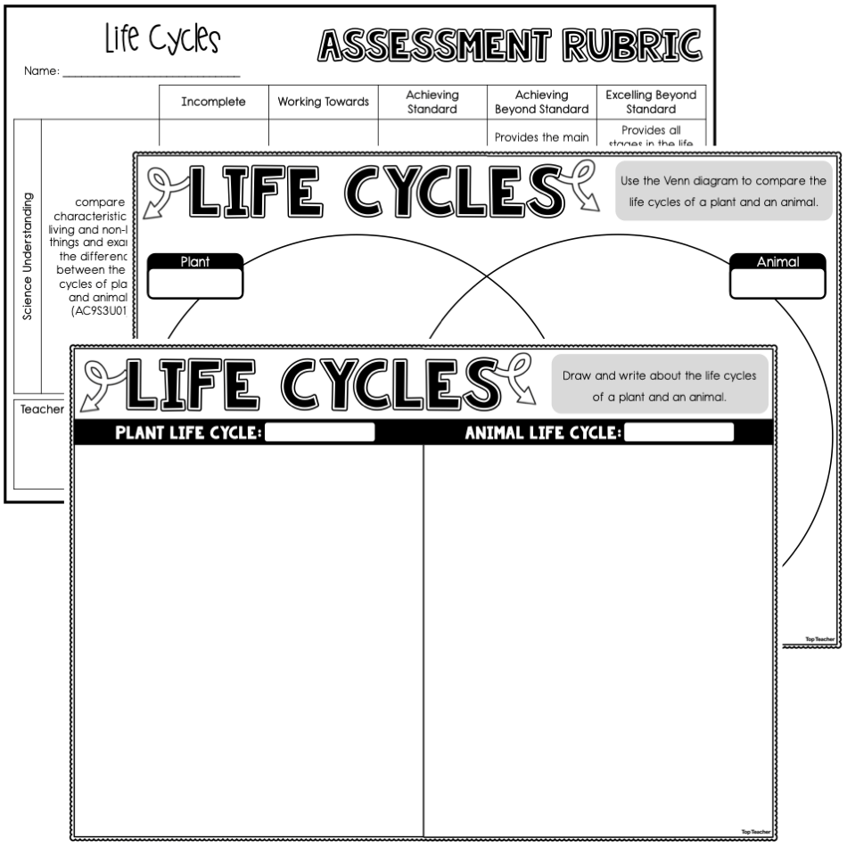 Science Plants Life Cycle Assessments Life Cycles Assessment Top