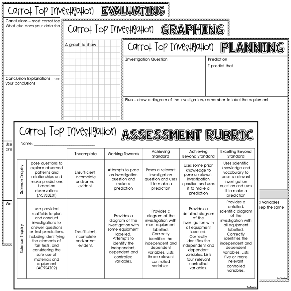 Year 3 Biological Sciences Assessment: Living, Non-Living or Once ...