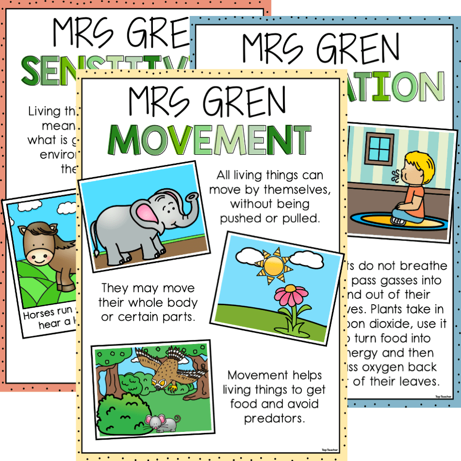 MRS GREN Display Posters - Top Teacher