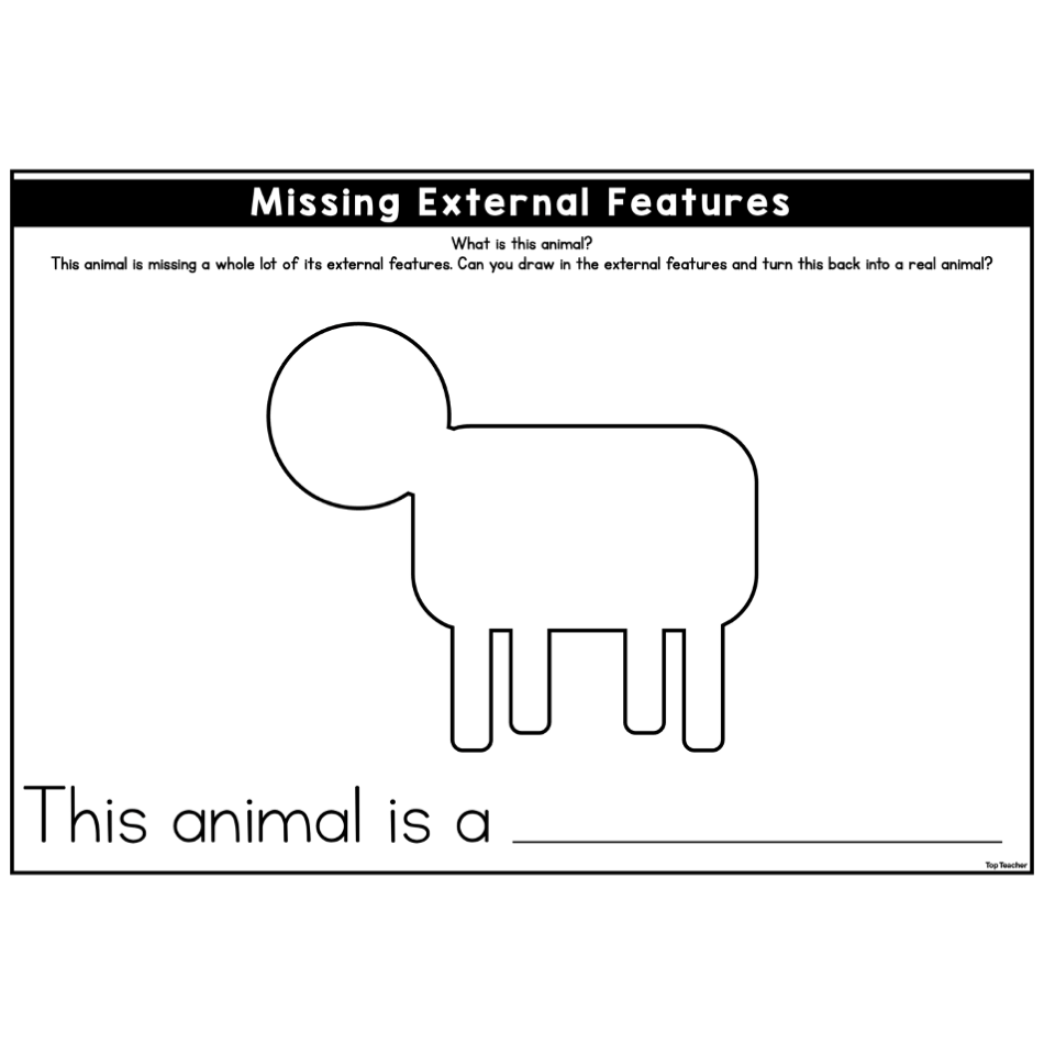 Missing External Features Worksheet - Top Teacher