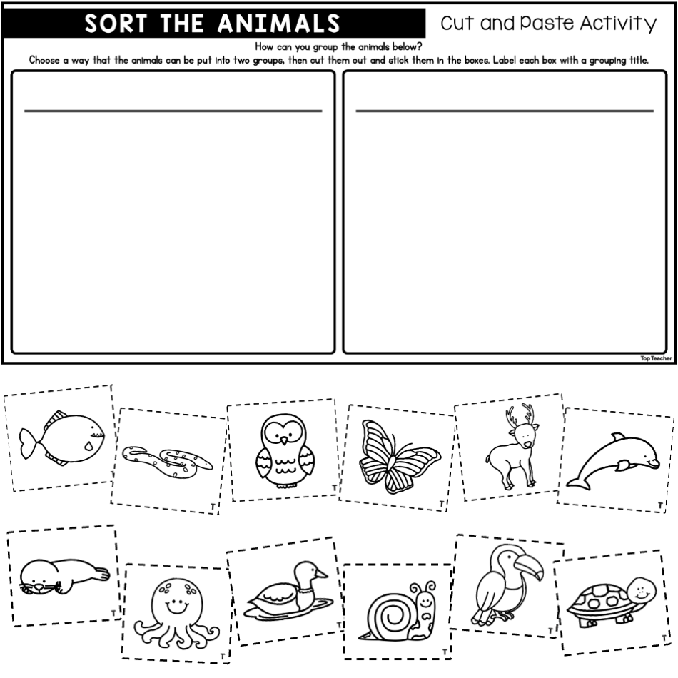 Sort the Animals Cut & Paste - Top Teacher