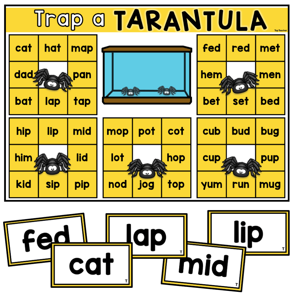 Trap a Tarantula: Decodable Reading Game CVC Words - Top Teacher