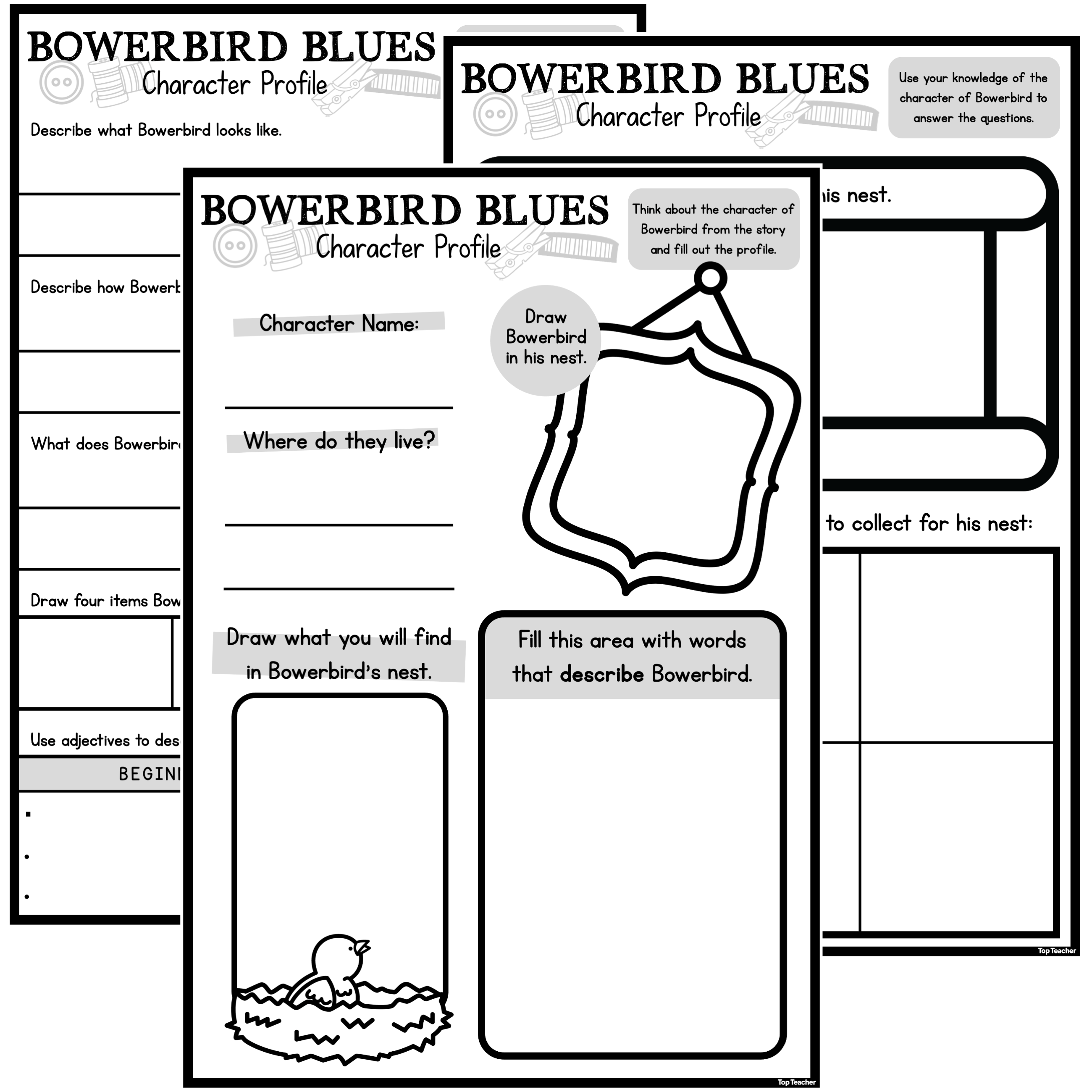 Bowerbird Blues Character Profile - Top Teacher