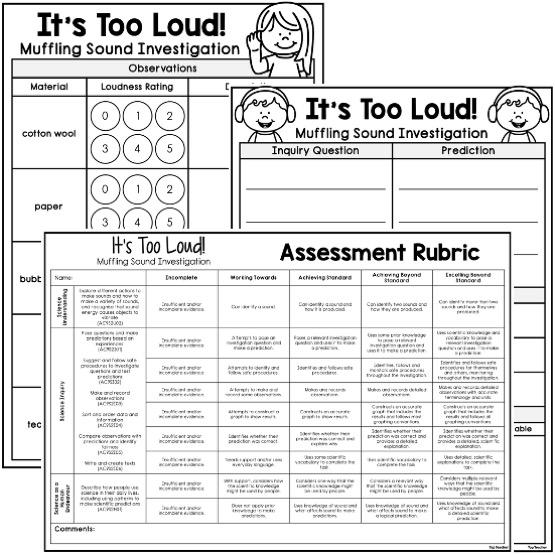 Physical Sciences Year 2 Assessment: Muffling Sound - Top Teacher