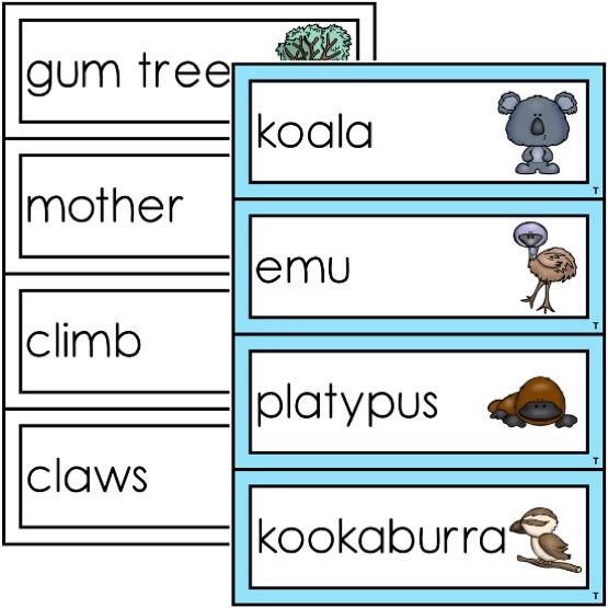 Koala Lou Word Wall Cards - Top Teacher