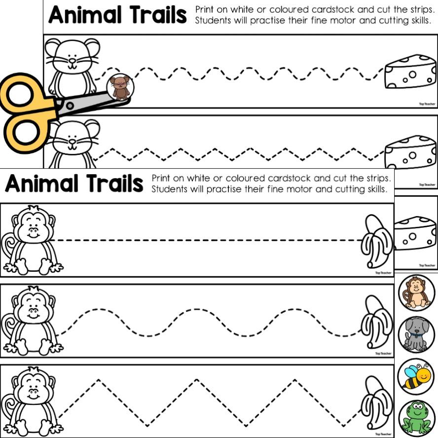 Animal Trails: Cutting Skills Templates - Top Teacher