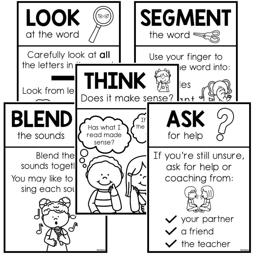 Bindi Novel Study PACKAGE - Top Teacher