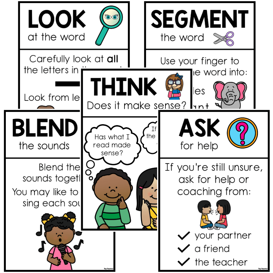 Bindi Novel Study PACKAGE - Top Teacher