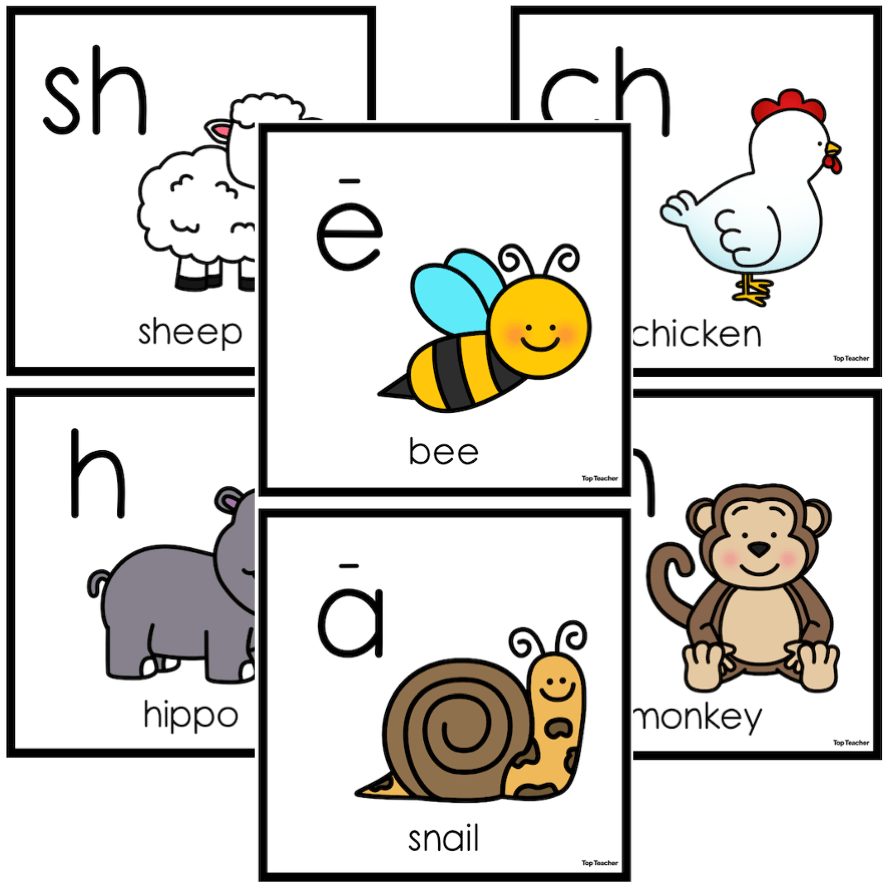 Sound Wall Phoneme Flash Cards - Top Teacher