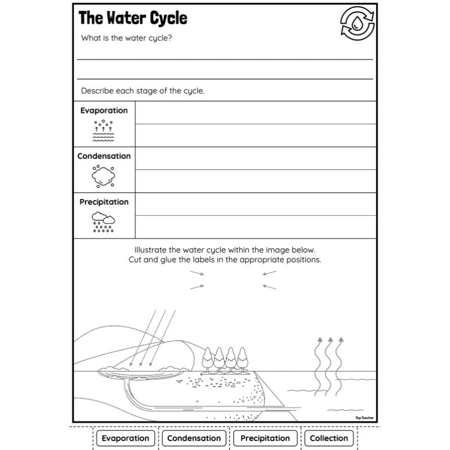 The Water Cycle Assessment 1 Worksheet