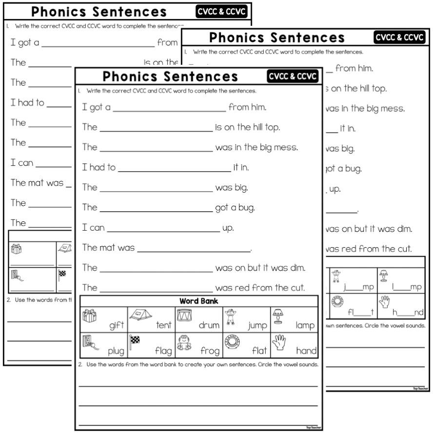 Phonics Sentences Worksheet: CVCC & CCVC - Top Teacher