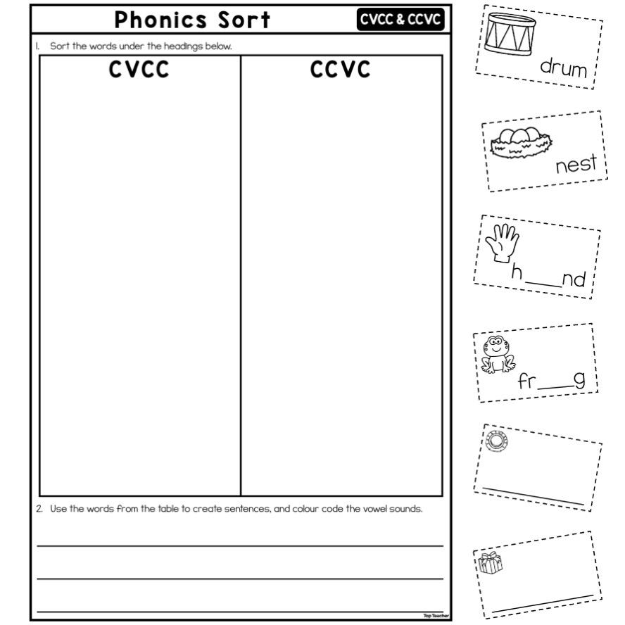 Phonics Sort Worksheet: CVCC & CCVC - Top Teacher