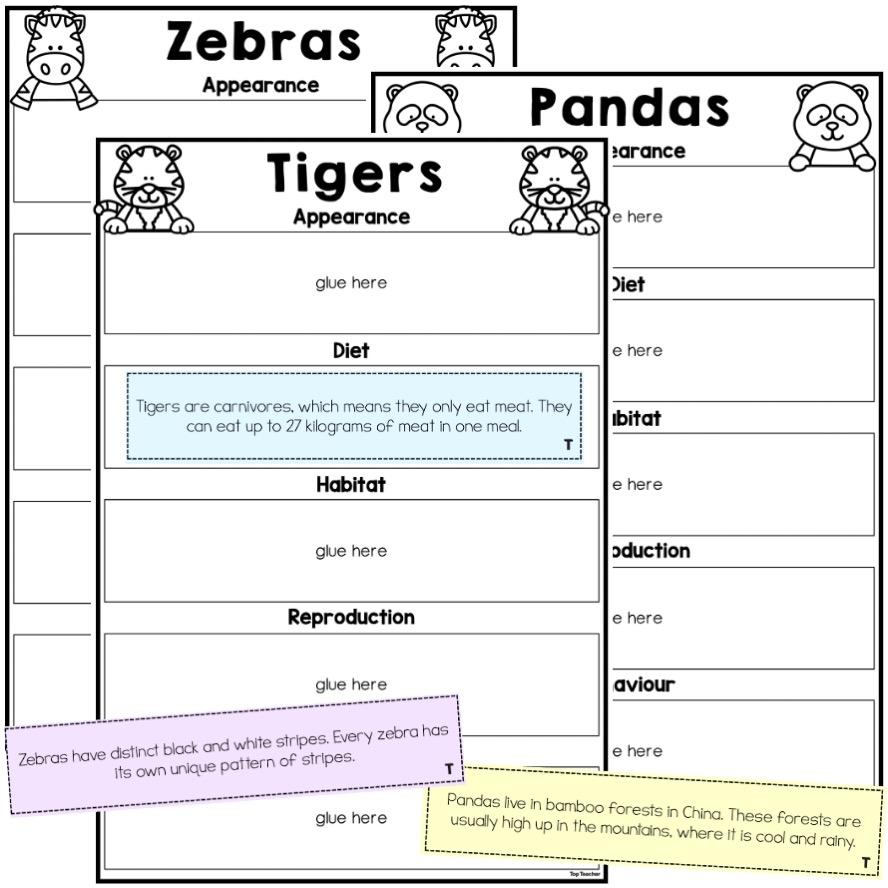 Matching Paragraphs: Animal Information Report Worksheets - Top Teacher