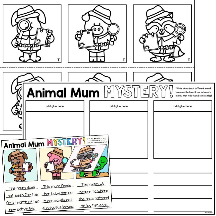 Animal Mum Mystery: Mother’s Day Activity - Top Teacher