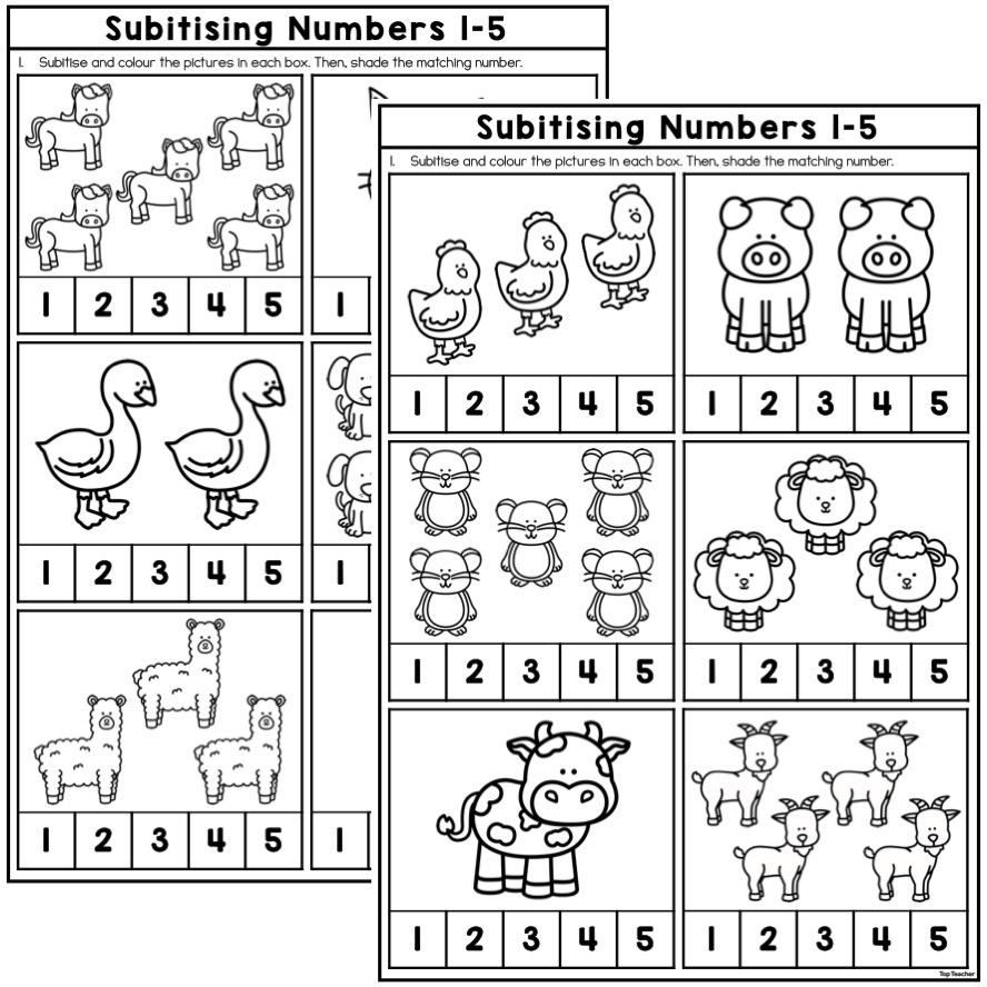 Subitising Animals: Numbers 1-5 Worksheets - Top Teacher