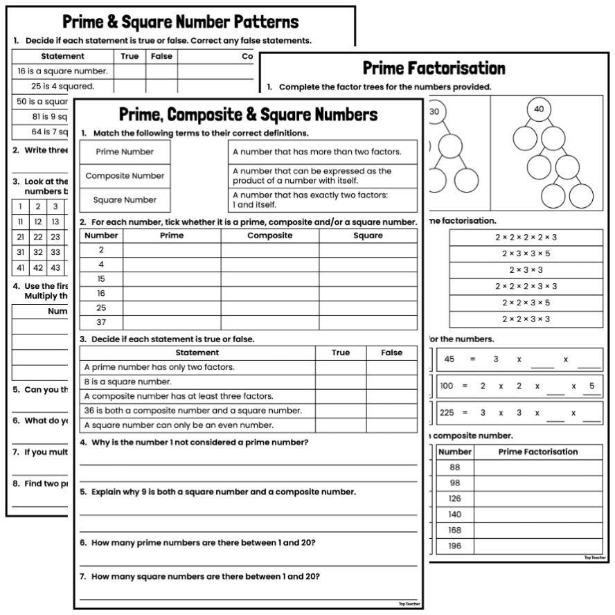 Properties of Prime, Composite & Square Numbers Worksheets PACKAGE ...