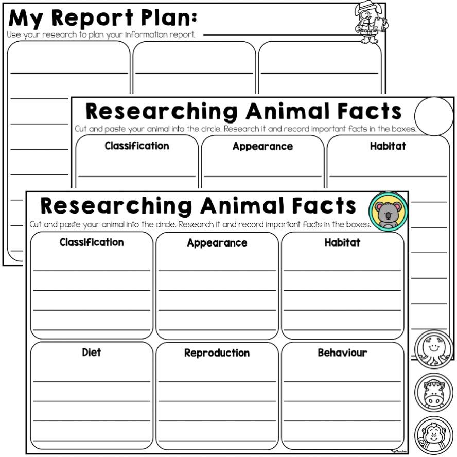 Animal Information Report Research & Planning Templates - Top Teacher