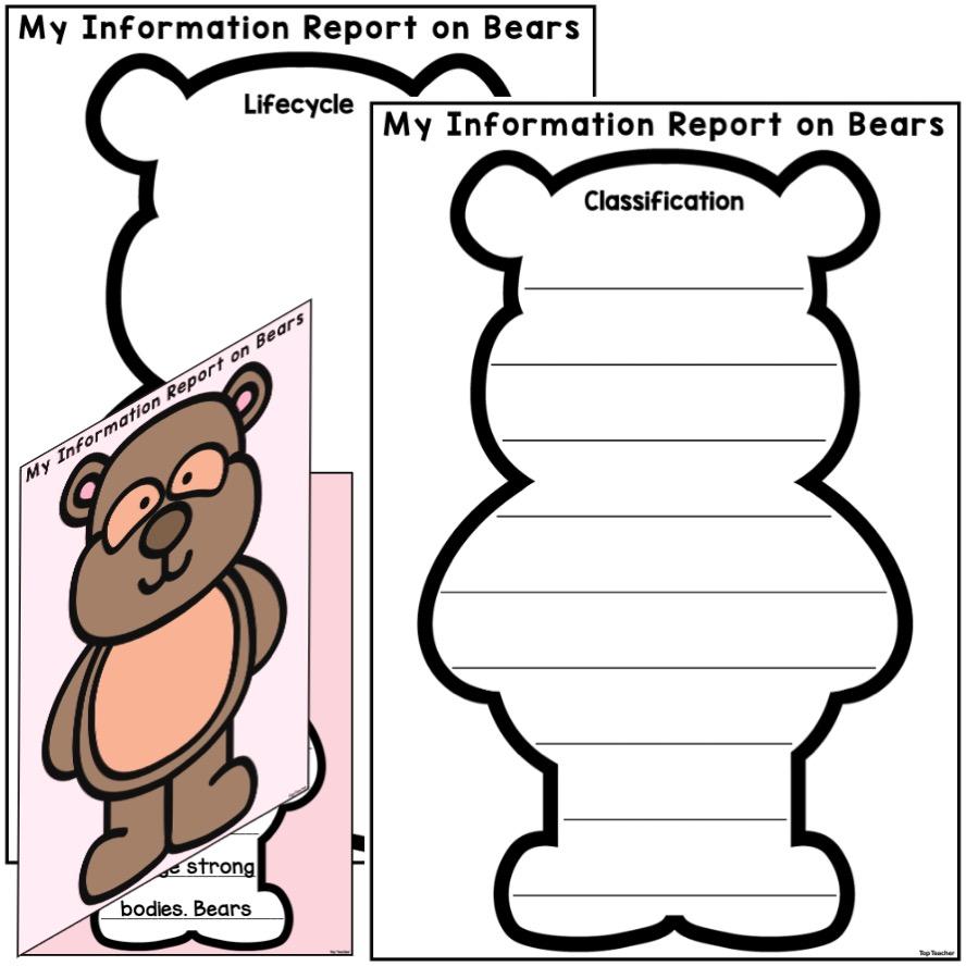 Information Report Writing Templates: Bear - Top Teacher