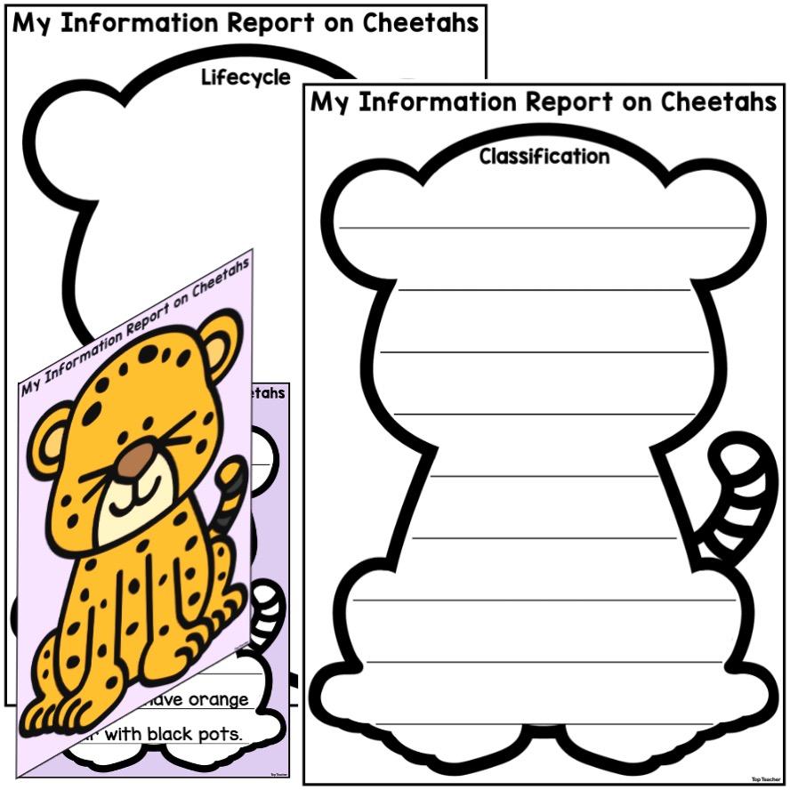 Information Report Writing Templates: Cheetah - Top Teacher