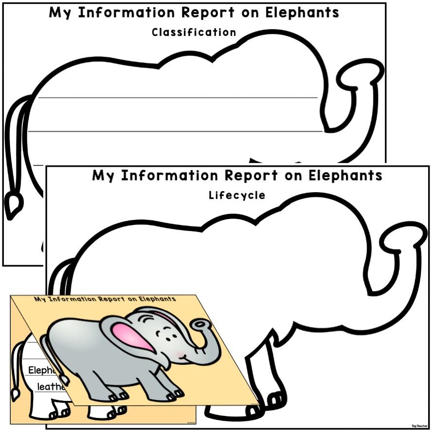 Information Report Writing Templates: Elephant - Top Teacher