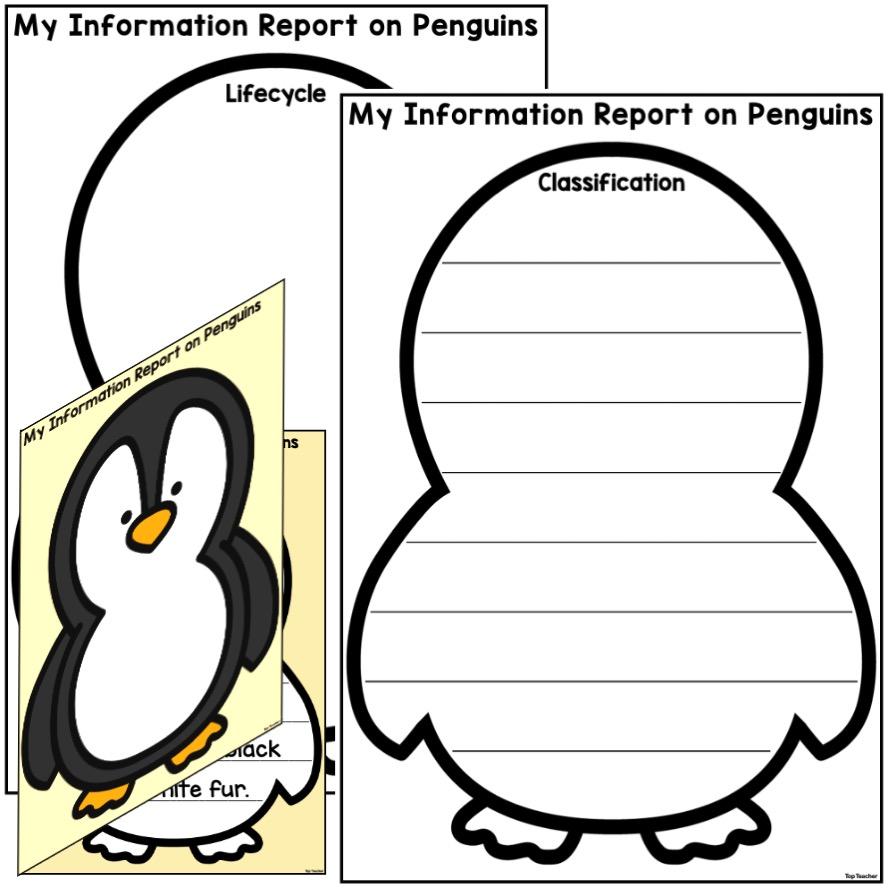 Information Report Writing Templates: Penguin - Top Teacher