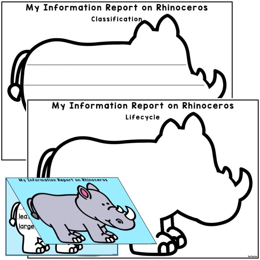 Information Report Writing Templates: Rhinoceros - Top Teacher