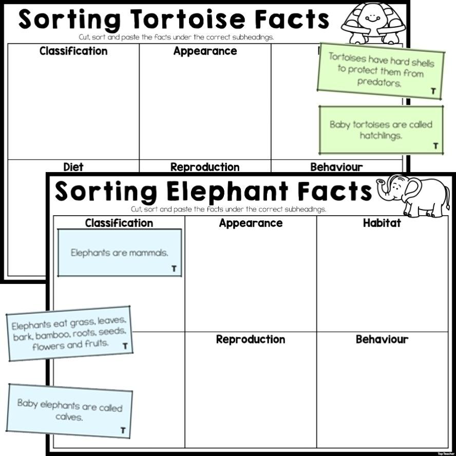 Animal Facts Worksheets Animals Amazing Fact Worksheet