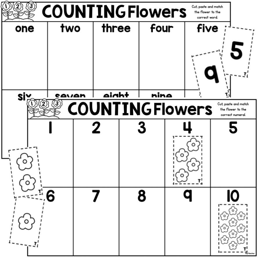 Counting Flowers Cut and Paste Worksheet - Top Teacher