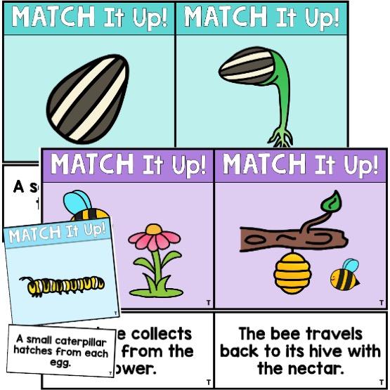 Match It Up: Diagrams & Captions - Top Teacher