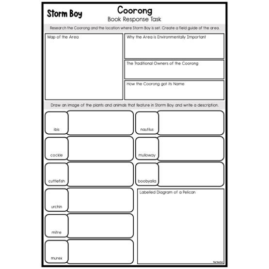 Storm Boy Coorong Book Response Task - Top Teacher