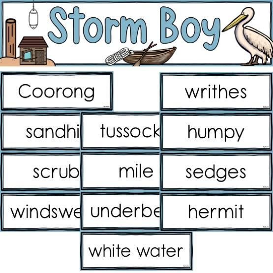Storm Boy Display PACKAGE - Top Teacher