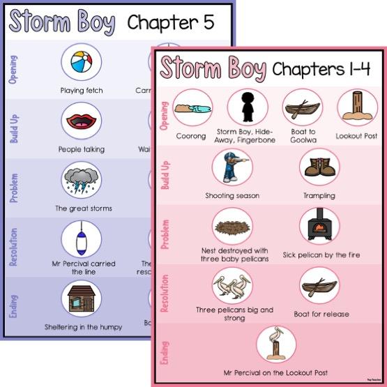 Storm Boy Display Posters - Top Teacher