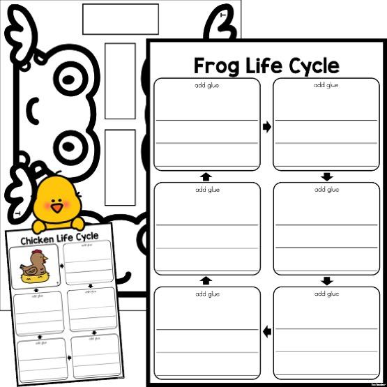 Animal Life Cycle Writing Templates - Top Teacher