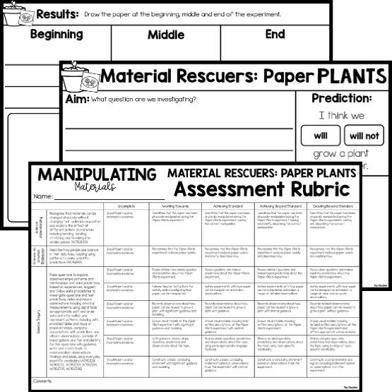 Chemical Sciences Year 2 Assessment: Paper Plants - Top Teacher