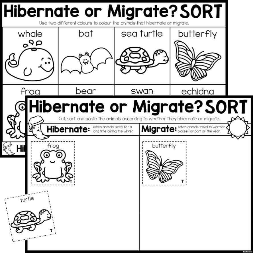 Hibernate or Migrate Sort: Earth & Space Sciences Activity - Top Teacher