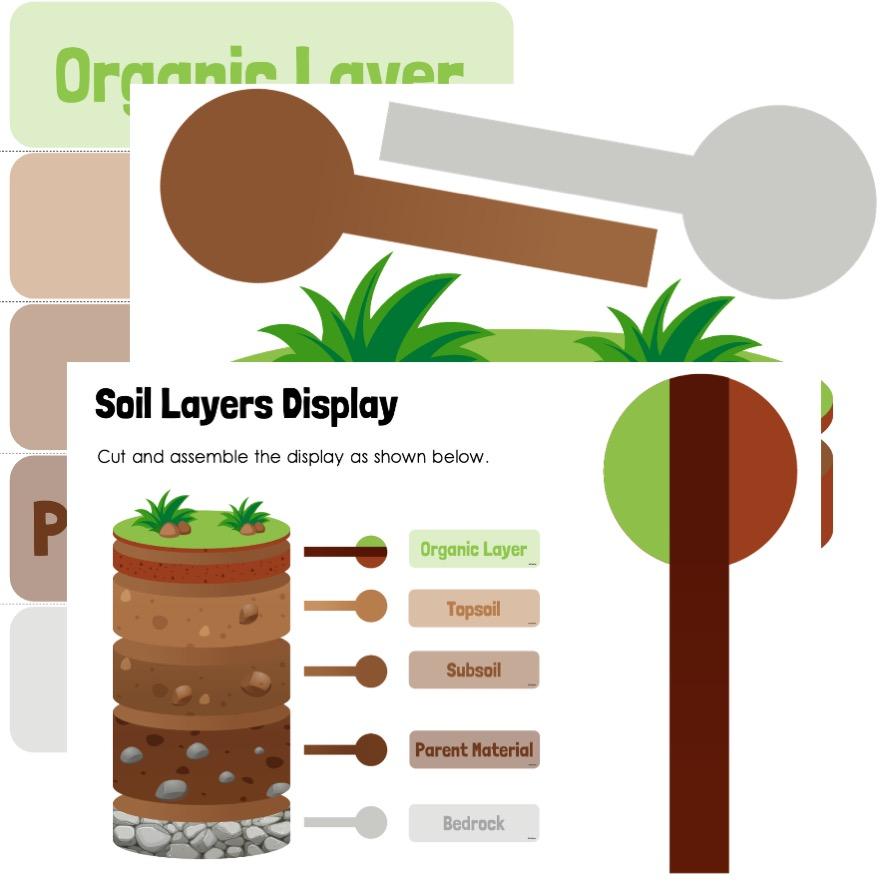 Soil Layers: Earth & Space Sciences Display - Top Teacher
