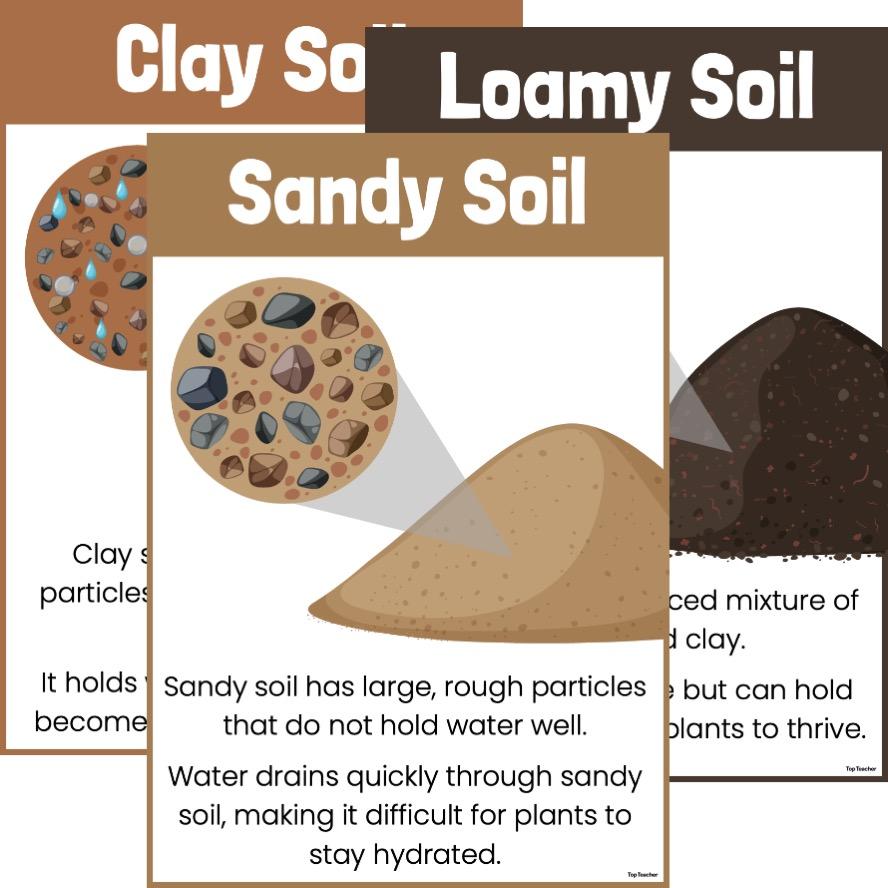 Types of Soils: Earth & Space Sciences Posters - Top Teacher